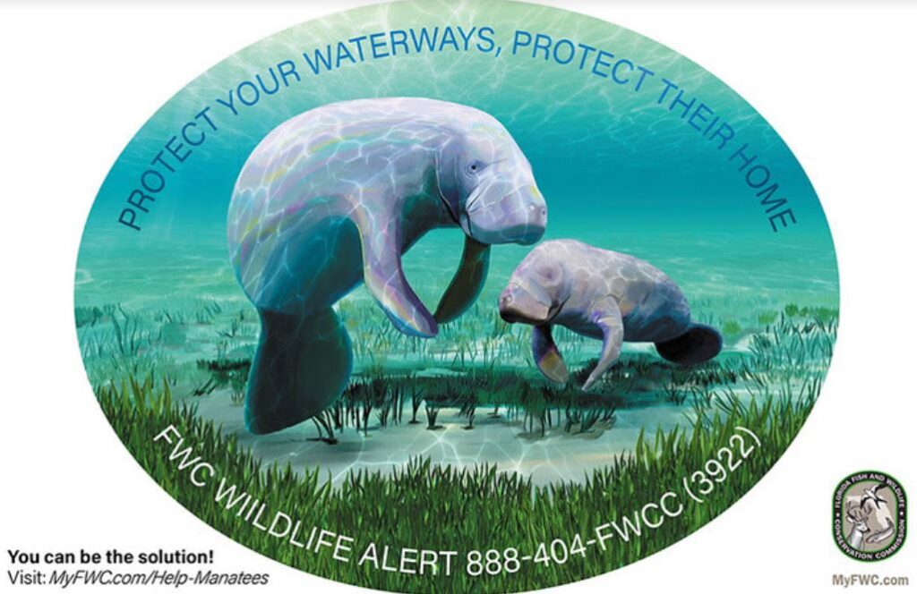 New Decals Are Out To Support Manatees & Turtles - Beach Talk Radio ...